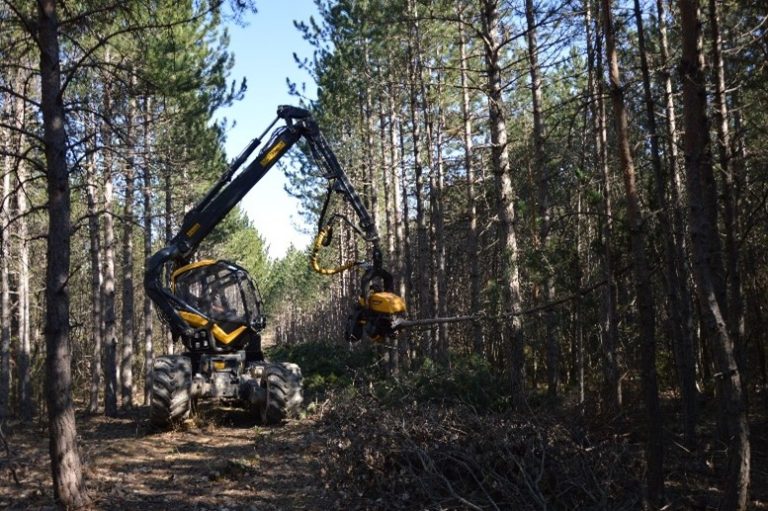 Enhancing Forestry Operations with Hydraulic Cylinders - TMS Hydraulics