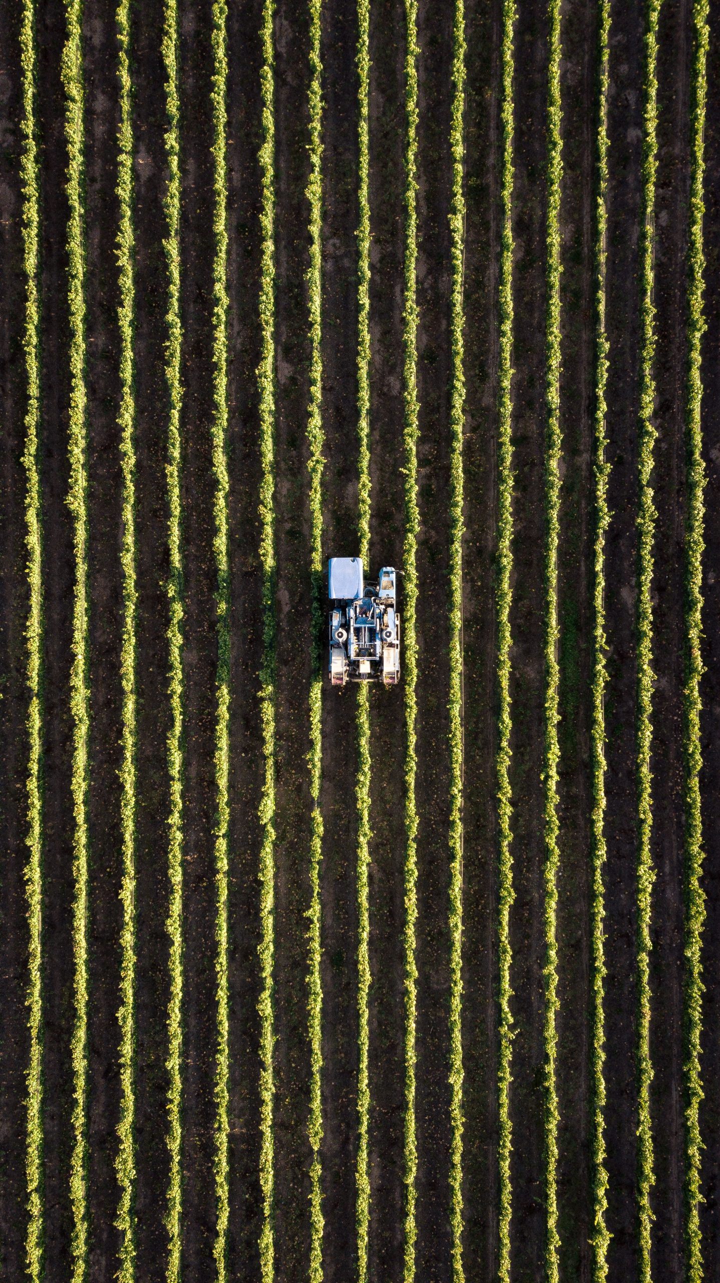 Transforming Agriculture with Hydraulic Cylinders - TMS Hydraulics